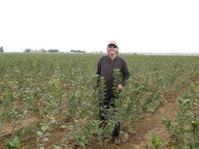 Vital Grow | Photo Gallery