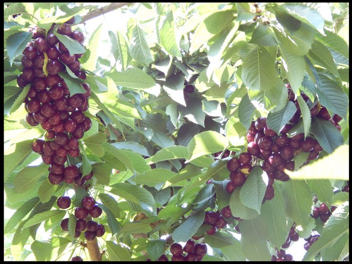 Vital Grow | Photo Gallery